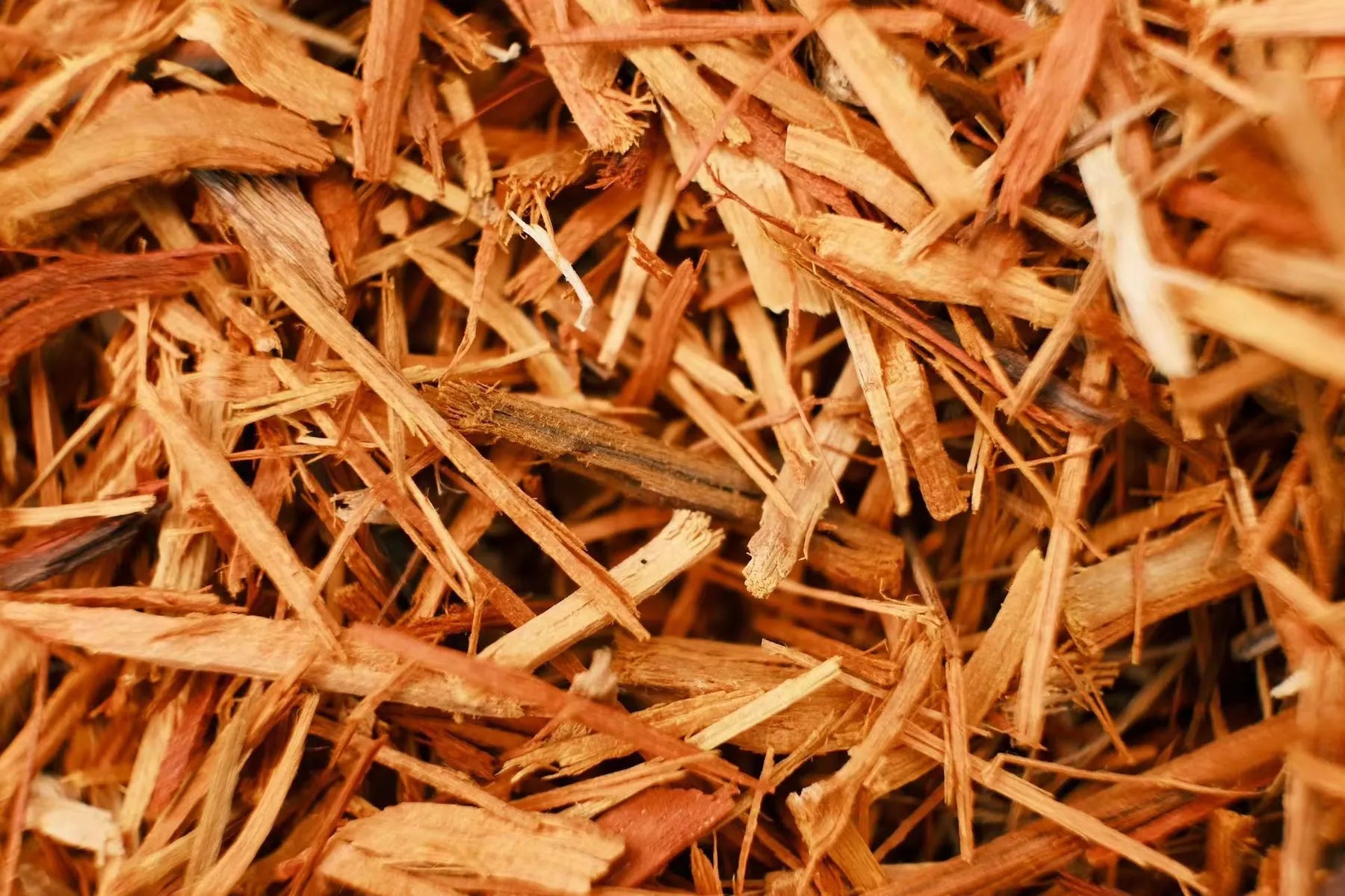 The Colour Wood™ – OneColours